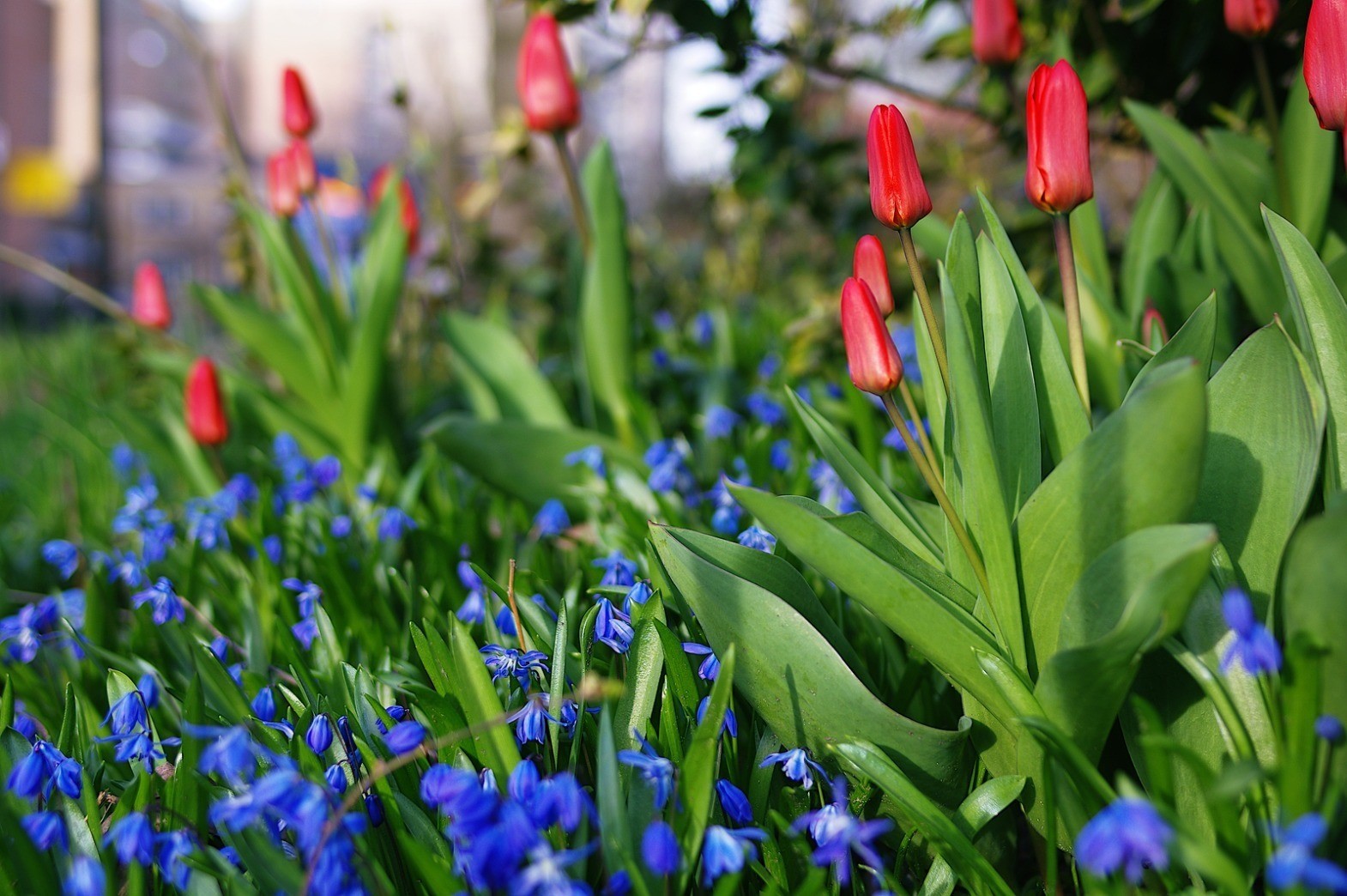 WWE PPV Universe (@WWEPPVUniverse@qoto.org) - Qoto Mastodon